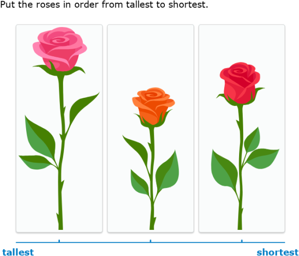 IXL | Order objects: length and height | Grade 1 math