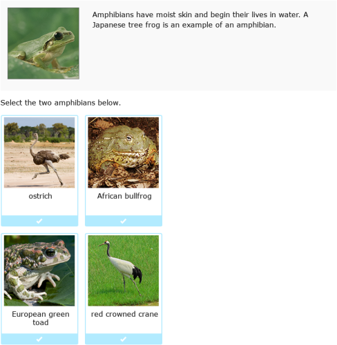 IXL | Identify mammals, birds, fish, reptiles and amphibians | Grade 2 ...
