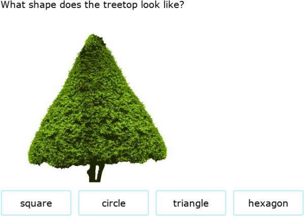 IXL | Two-dimensional shapes in the real world | Kindergarten math