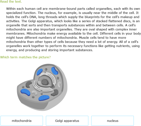 IXL Determine The Meaning Of Domain specific Words With Pictures ixl-determine-the-meaning-of-domain-specific-words-with-pictures