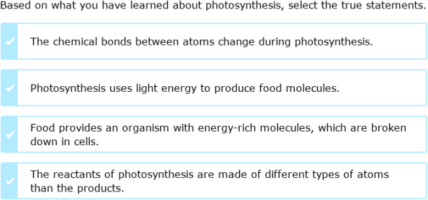 IXL | The chemistry of photosynthesis | Grade 9 science