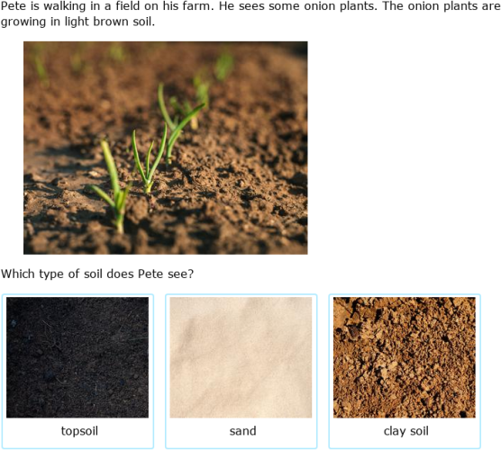 IXL | Types of soils | Grade 3 science