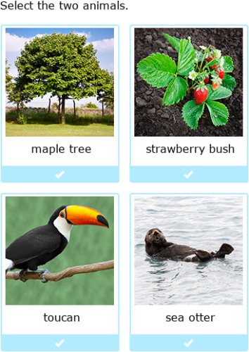 IXL | Identify plants and animals | Grade 2 science