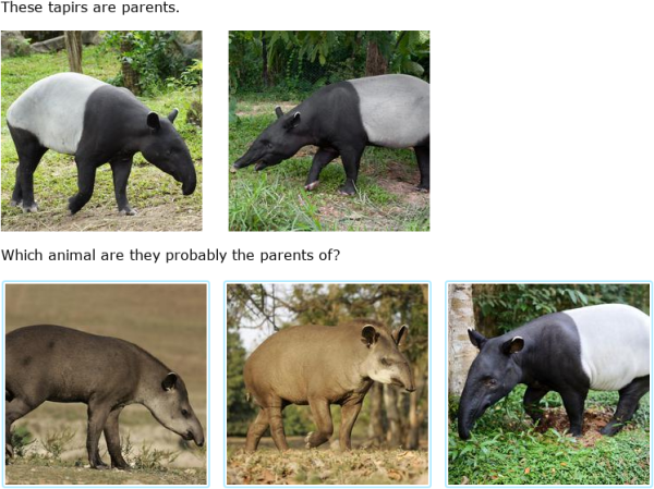 IXL | Match animals to their parents | Grade 2 science