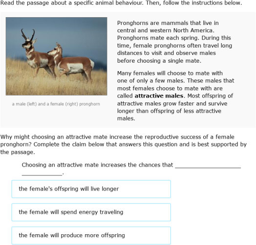 IXL | How can animal behaviours affect reproductive success? Identify ...