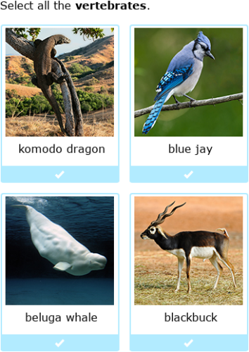 IXL | Identify vertebrates and invertebrates | Grade 6 science