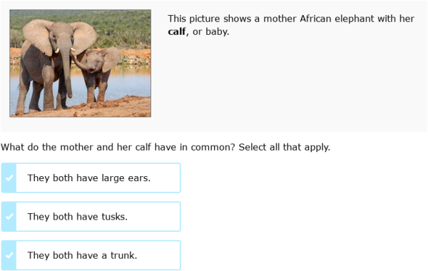 IXL | Seed disperser: African elephant | Grade 2 science