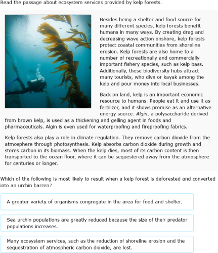 IXL | Kelp forests: factors affecting biodiversity | Grade 10 science