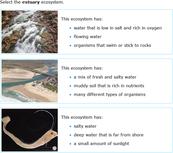 IXL | Identify ecosystems | Grade 6 science