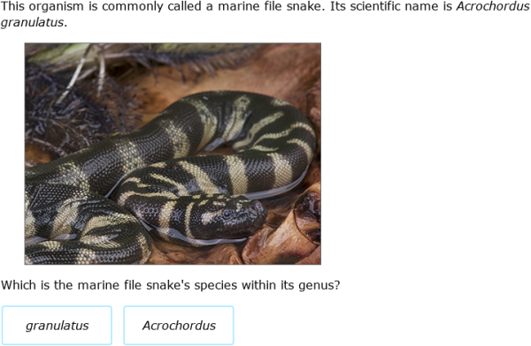 IXL | Identify common and scientific names | Grade 8 science