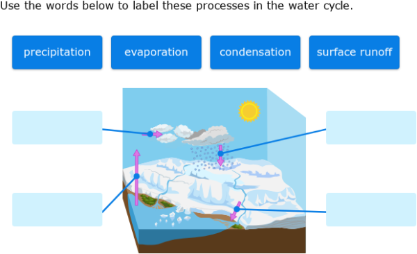 Water Cycle With All Labels