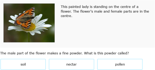 IXL | Pollinator: painted lady butterfly | Grade 2 science