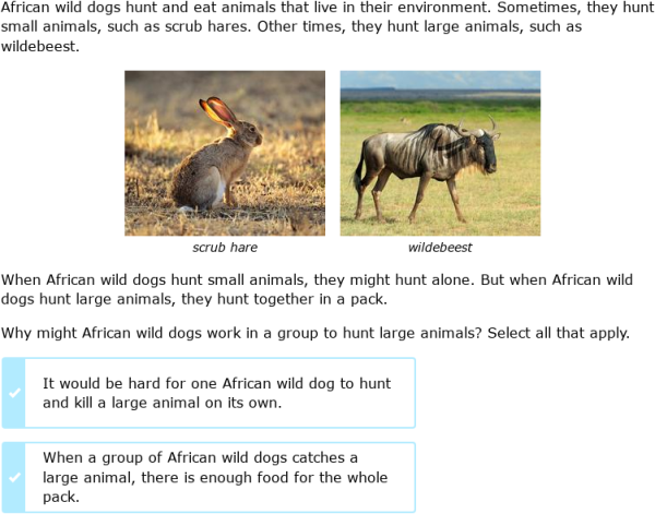 IXL | Benefits of group behaviour: African wild dogs | Grade 3 science