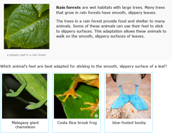 IXL | Animal adaptations: feet and limbs | Grade 6 science