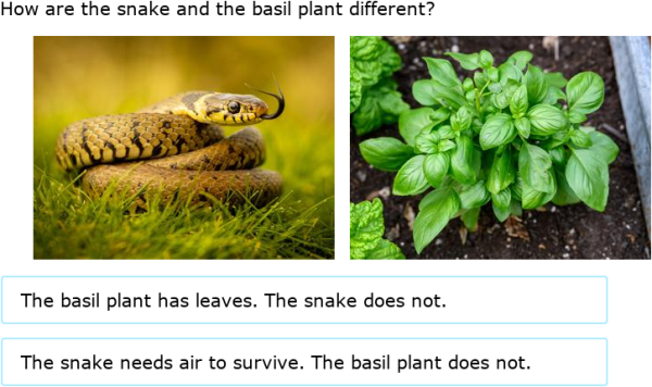 IXL | Compare plants and animals | Grade 1 science