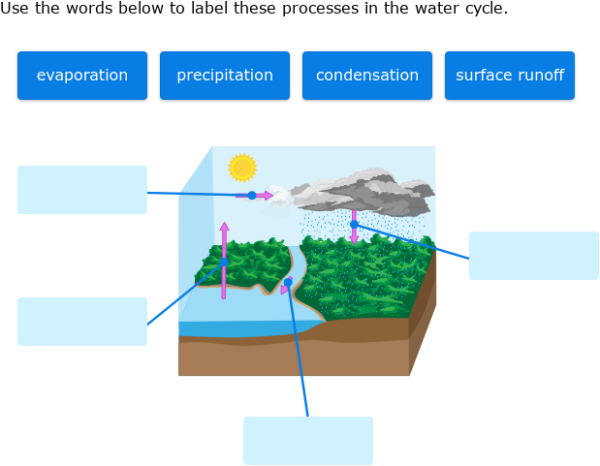 IXL | Label parts of water cycle diagrams | Grade 2 science