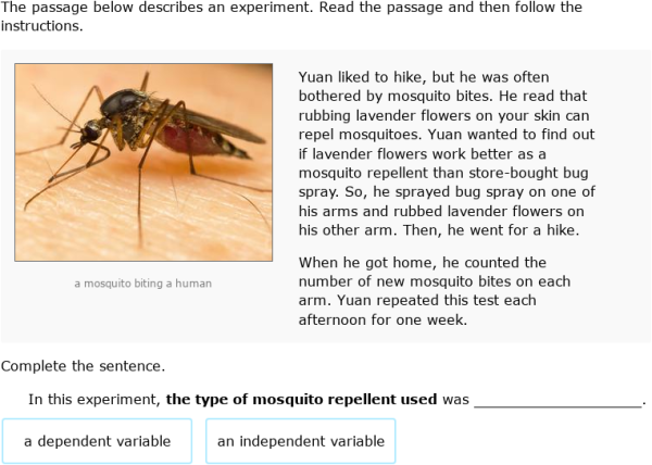 IXL | Identify independent and dependent variables | Grade 6 science