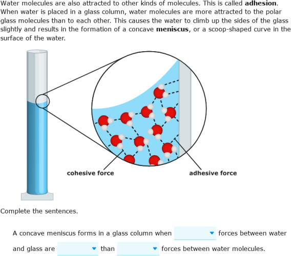 IXL | Properties of water: cohesion and adhesion | Grade 9 science