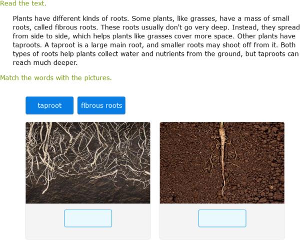 IXL Determine The Meaning Of Domain specific Words With Pictures ixl-determine-the-meaning-of-domain-specific-words-with-pictures