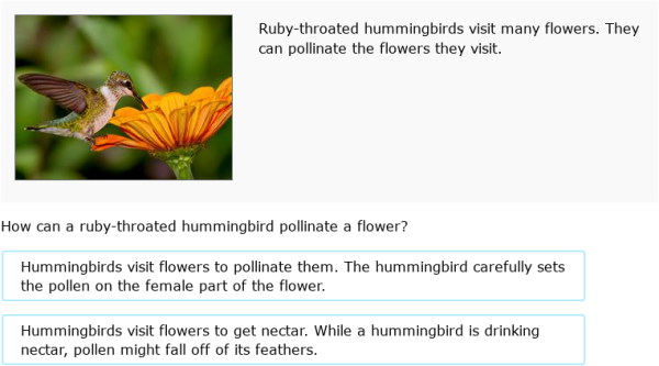 IXL | Pollinator: ruby-throated hummingbird | Grade 3 science