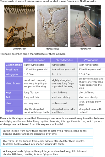IXL | Evaluate fossil evidence of evolution | Grade 9 science