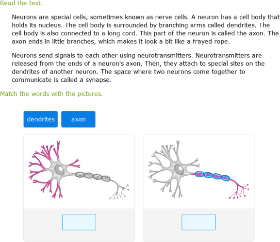 IXL | Determine the meaning of domain-specific words with pictures ...