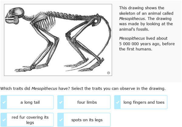 IXL | Compare fossils to modern organisms | Grade 3 science