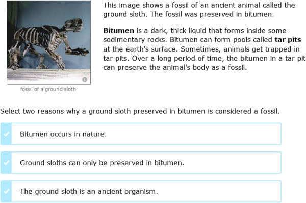 IXL | Identify and classify fossils | Grade 4 science