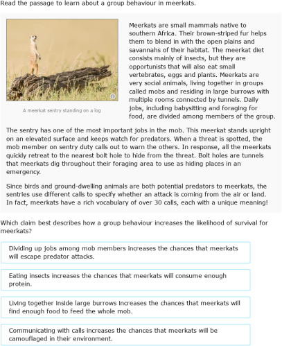 IXL | How can group behaviour affect survival? Identify evidence to ...